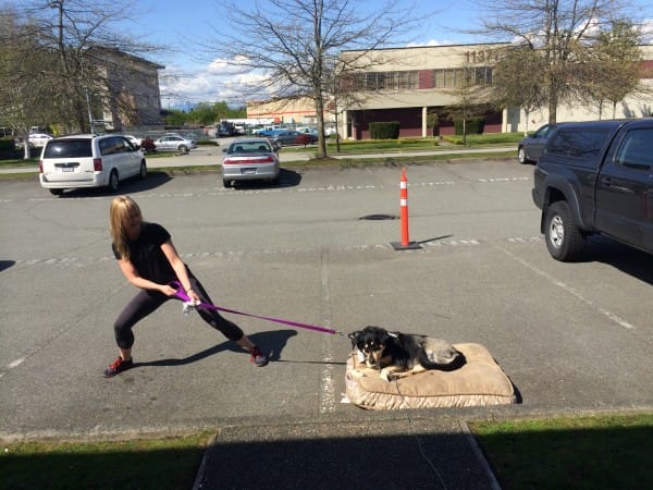 CALLING ALL BEGINNERS! *** THIS IS YOUR TIME! *** - Balance In Motion